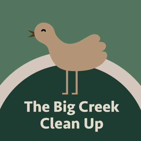 The Big Creek Clean Up | Office of Sustainability
