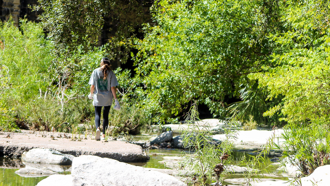 Nature Rx Walk | Office of Sustainability